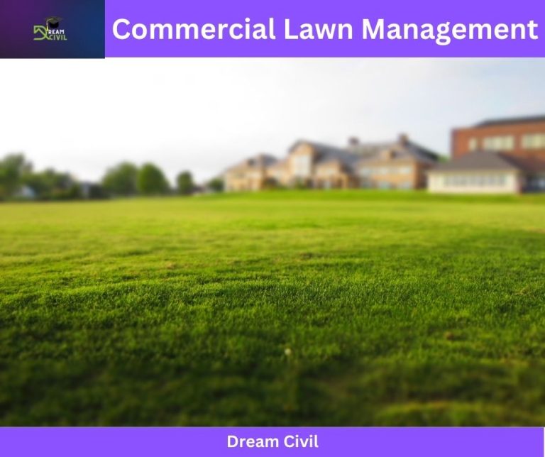 What Is Commercial Lawn Management? - Dream Civil