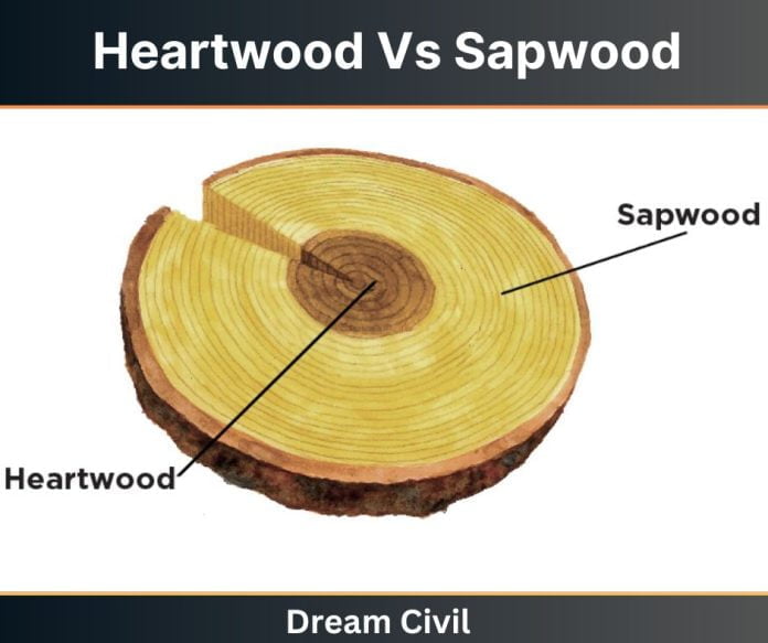 Heartwood Vs Sapwood : Based On Features, Weight, & More - Dream Civil