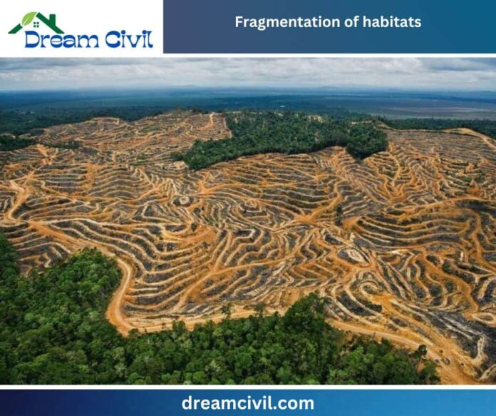 Tren Maya: Construction Detail, 10 Project Overviews including Social ...